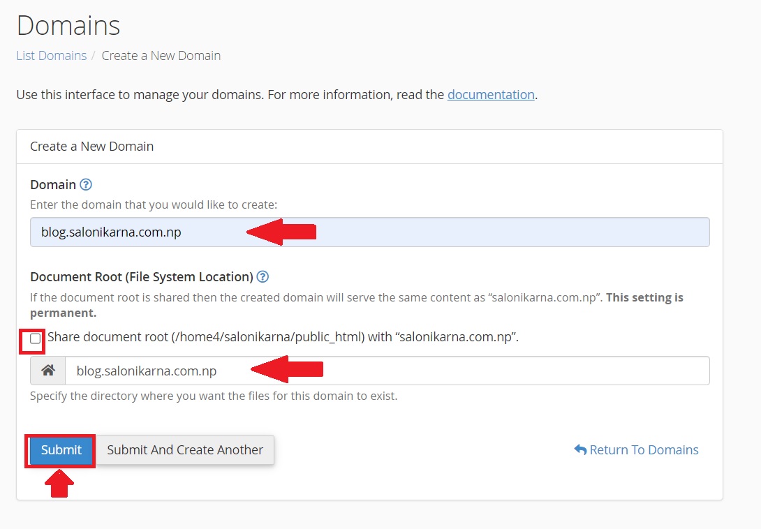 How to Add Addons Subdomains and Aliases in cPanel? - Saloni Blog